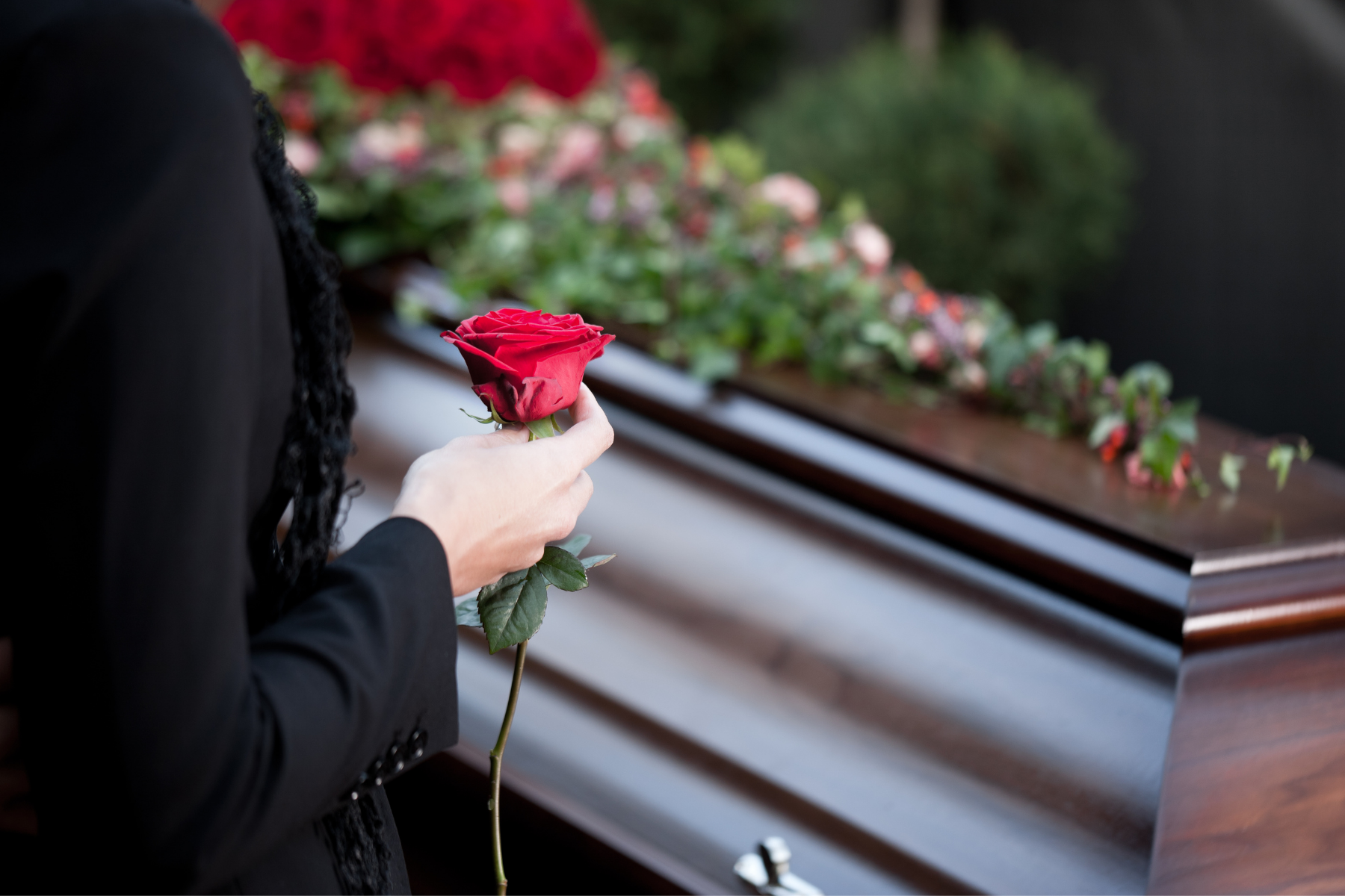Affordable Funeral Plans & Direct Cremations Made Simple